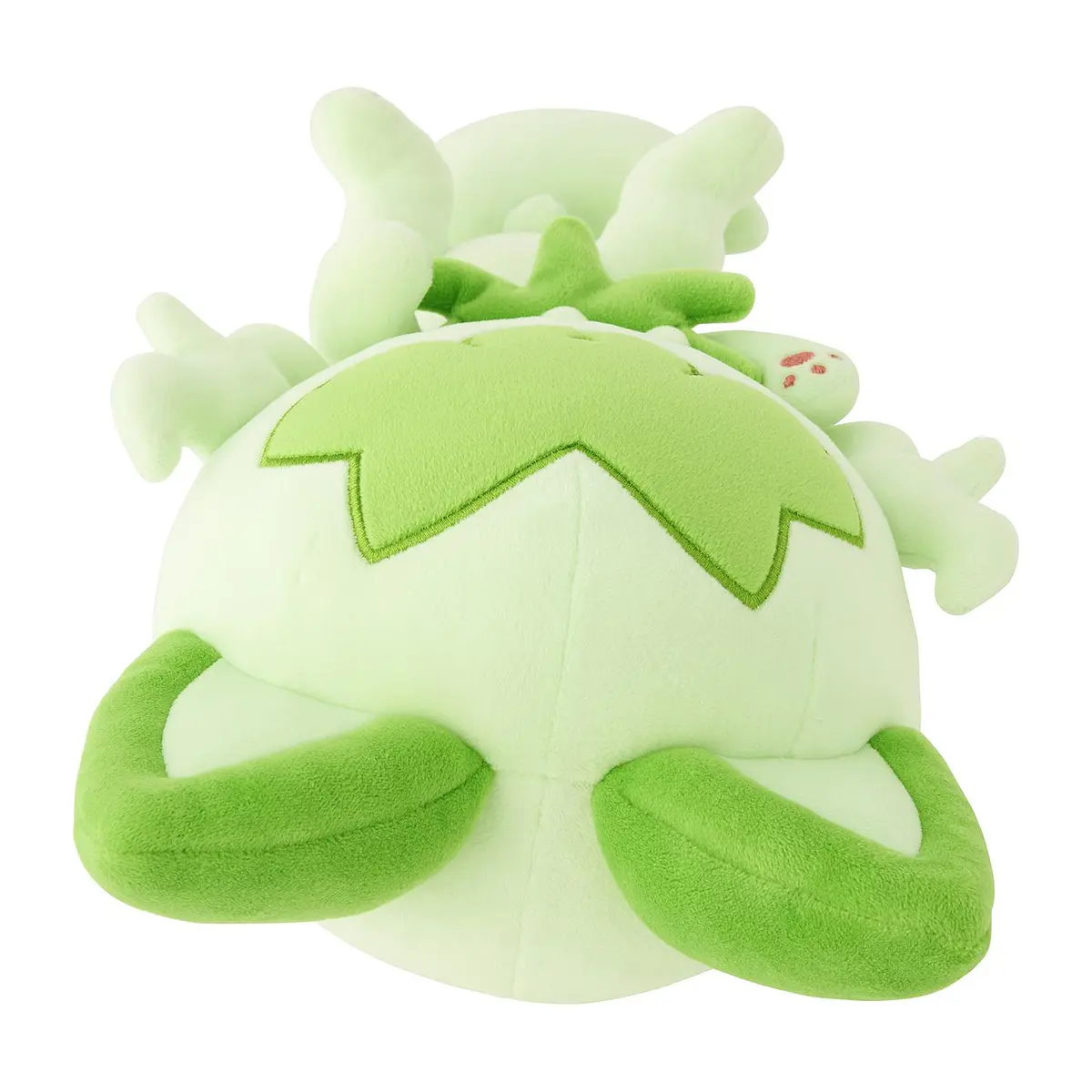 Sprigatito Sleep Pokémon center