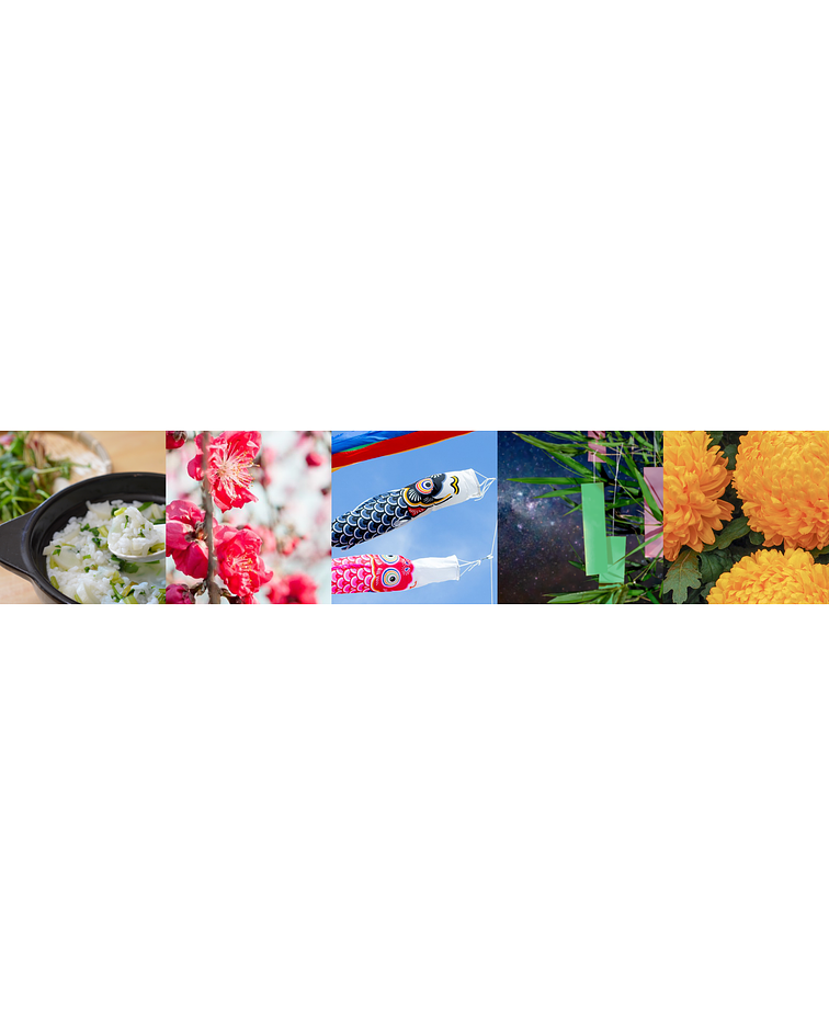 Sailor - Seasonal Festival - Momo