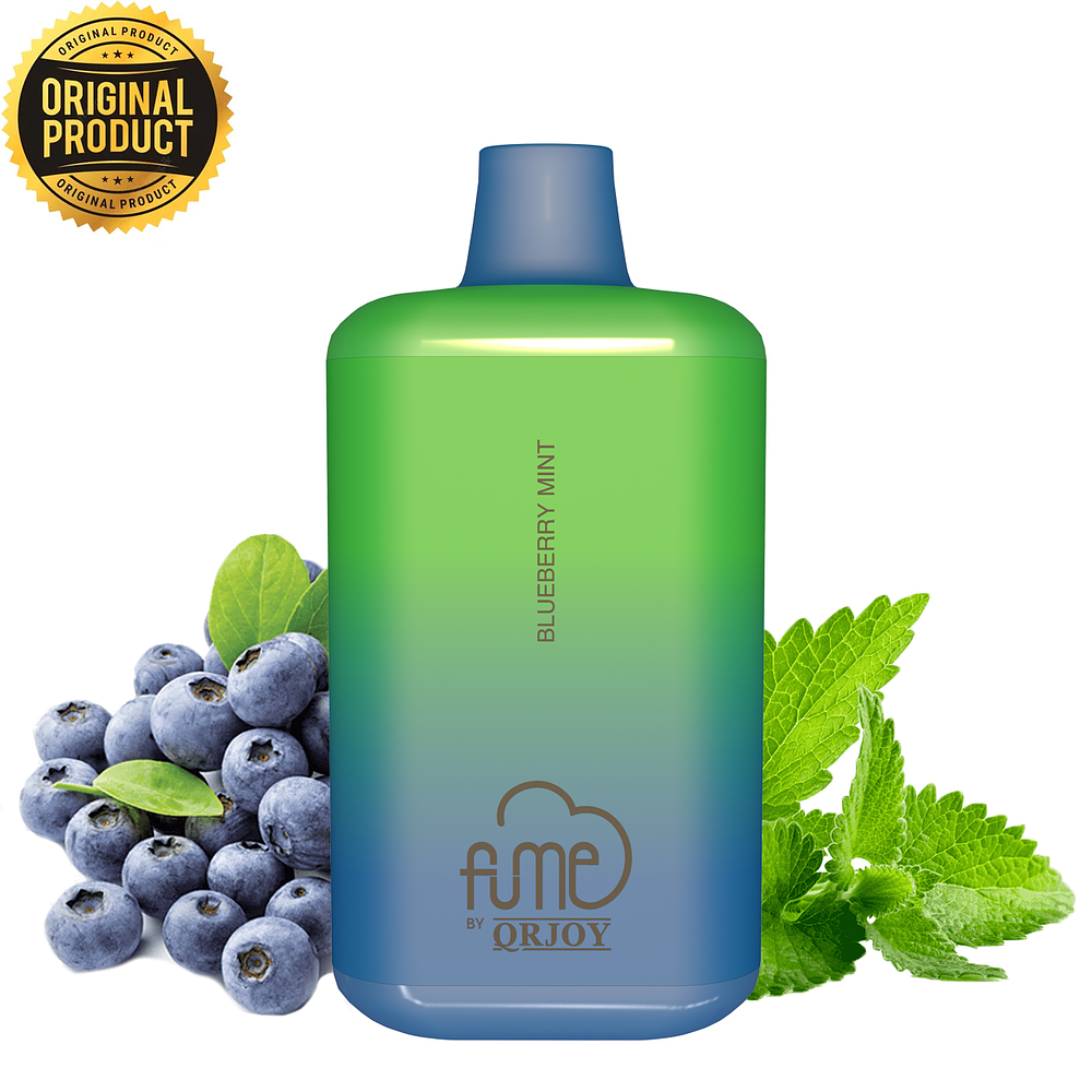 Fume Blueberry Mint 5K Puff | SantiVape Shop