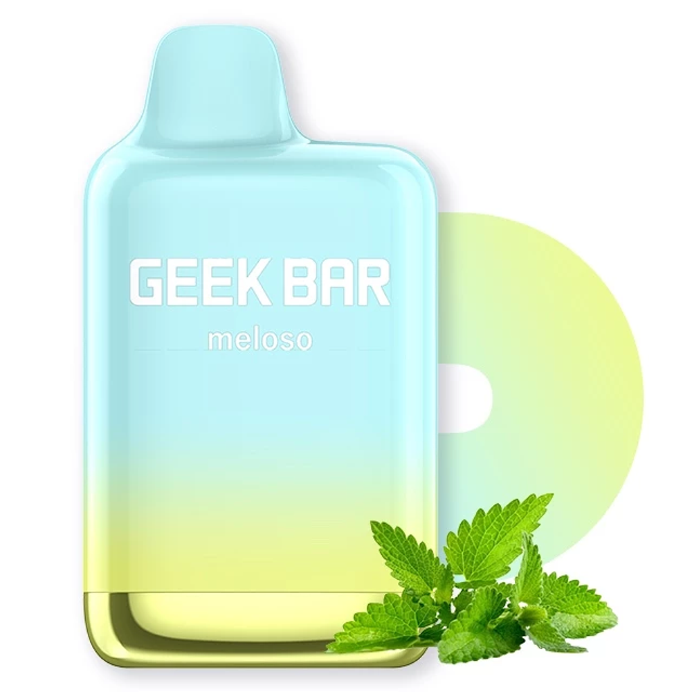 Geek Bar Cool Mint 9K Puff | SantiVape Shop