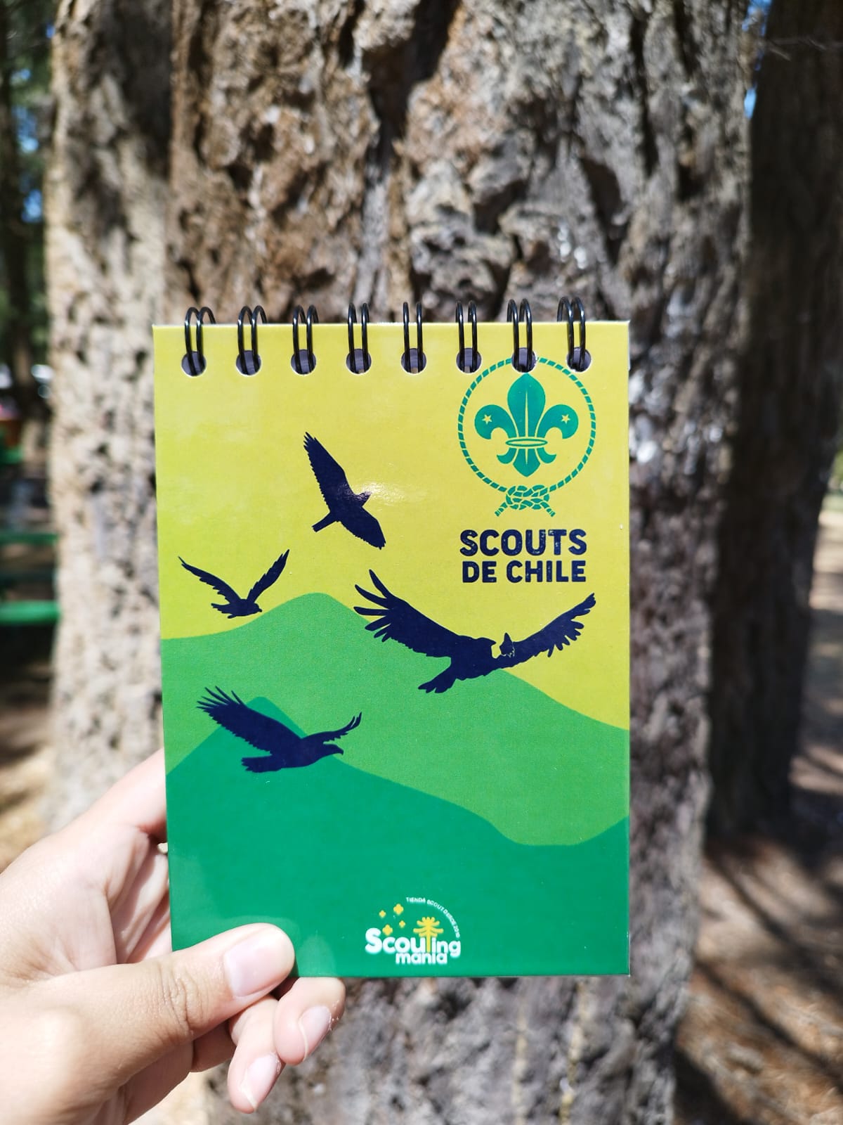 Croquera Tropa Scouts