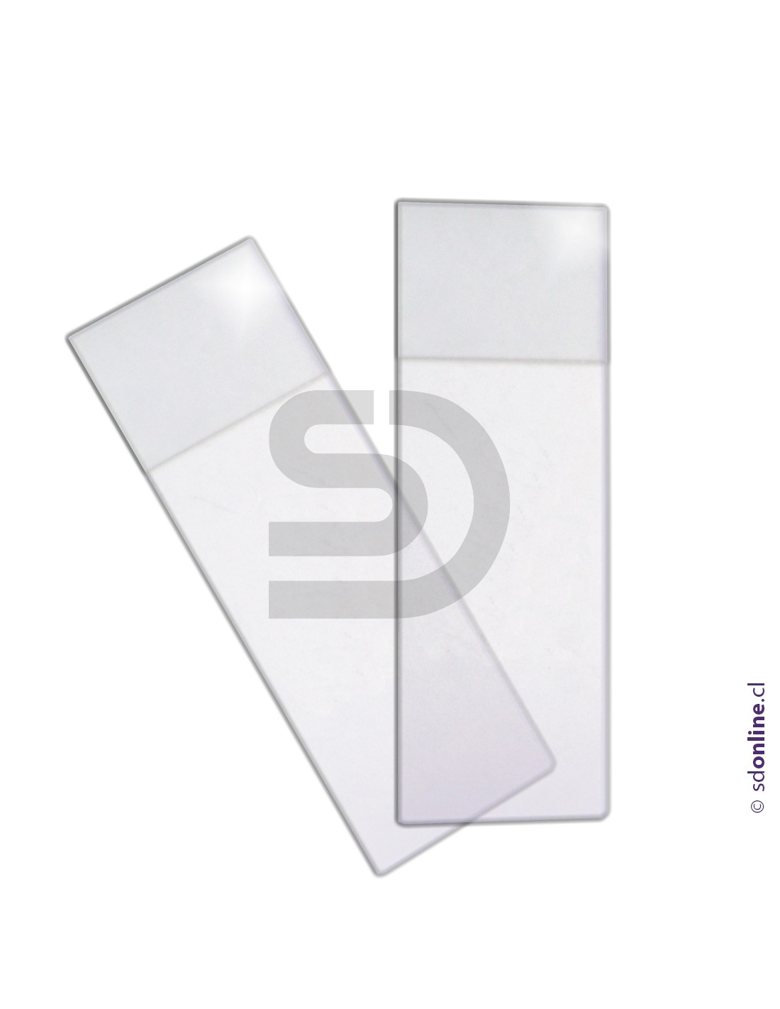 Porta Objeto Portafoliado 50Und 26X76Mm