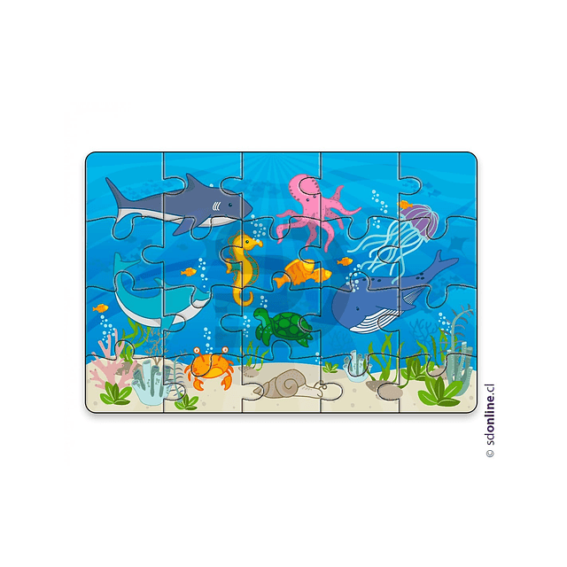 Puzzle Animales Acuaticos