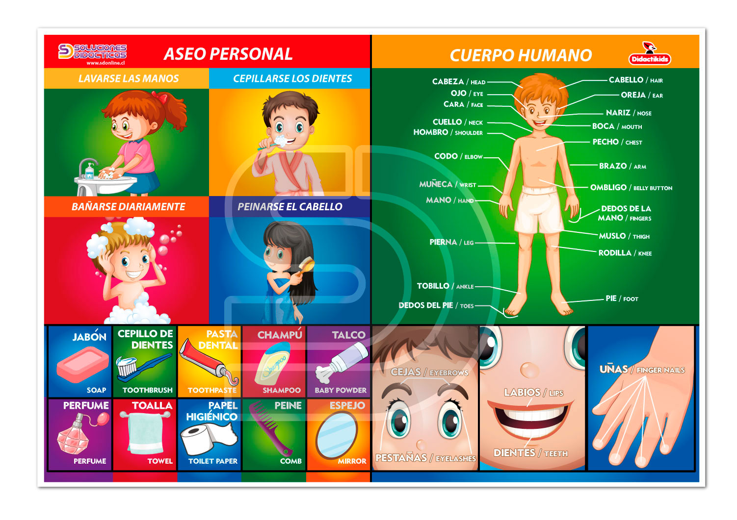 Trágico Sur Profeta imagenes de aseo personal auxiliar Letrista Mirar ...