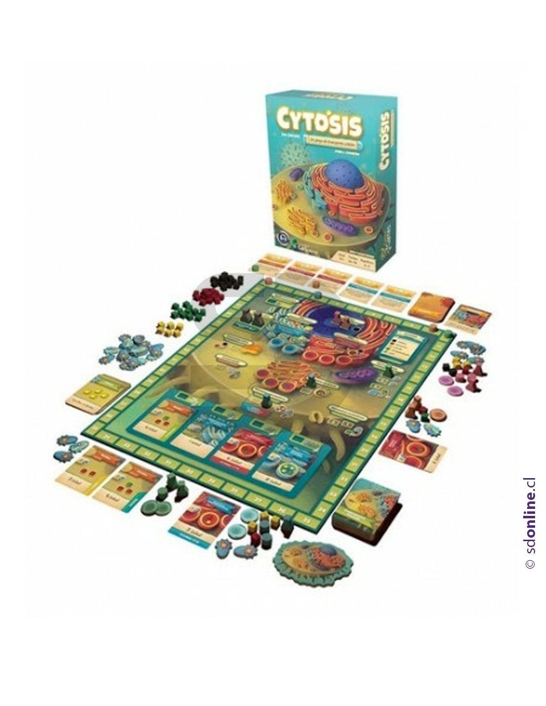 Cytosis