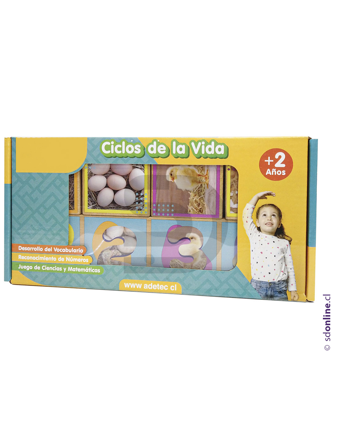 Secuencias madera ciclos de la vida 20 pzas.