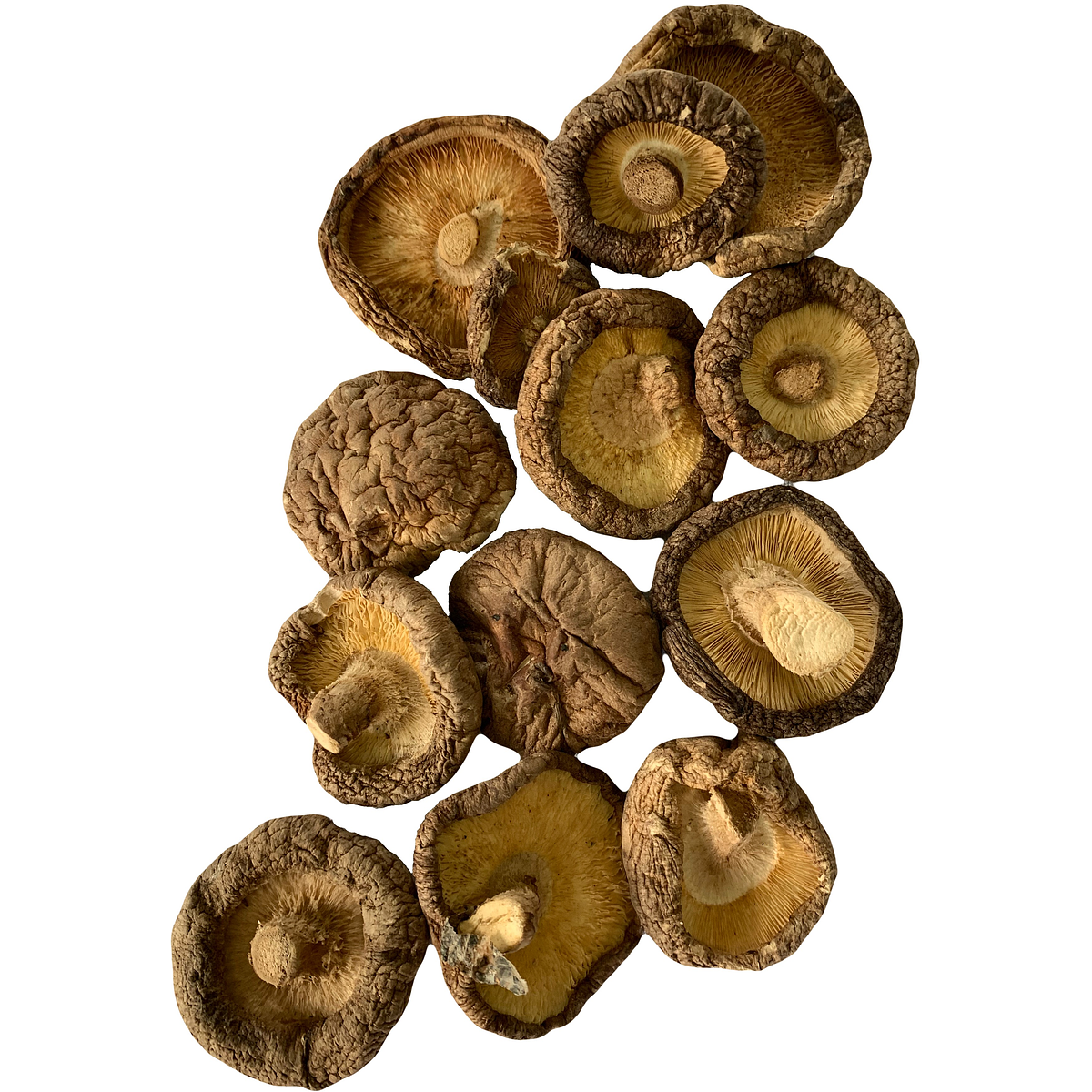 shiitake deshidratado