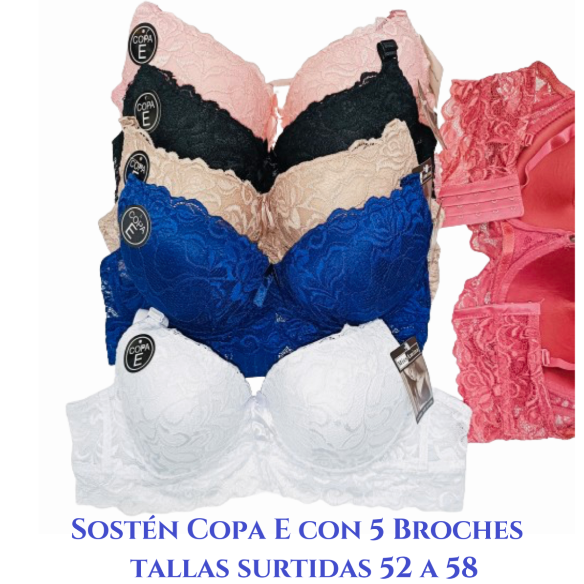 Sostén copa E con 5 broches tallas y colores surtidas la doc