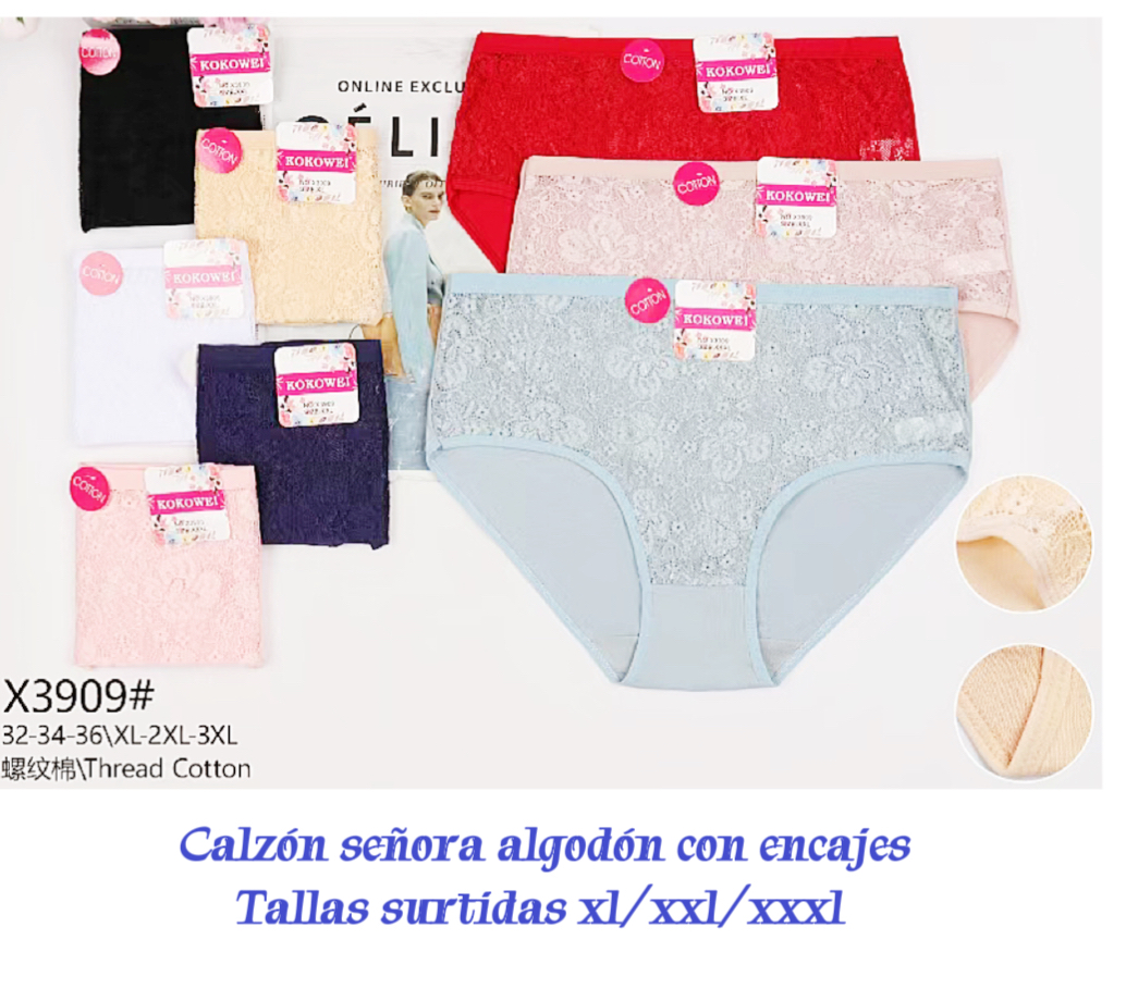 Calzón señora algodón con encaje tallas y colores surtidas l