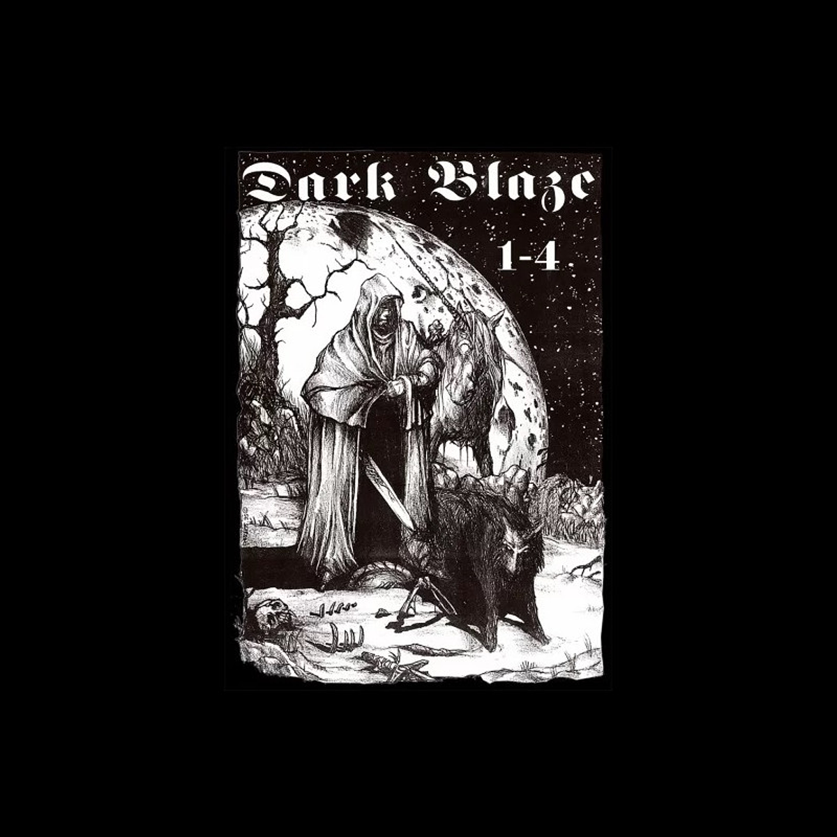 Dark Blaze 1-4, BOOK