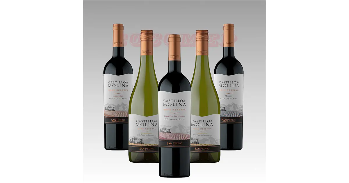 Castillo de Molina Gran Reserva 750cc