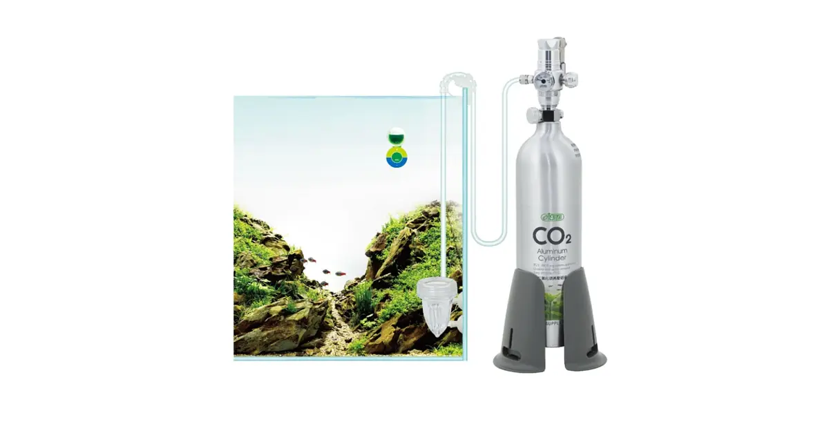 Kit Co2 Basic Face Up 1000cc Ista