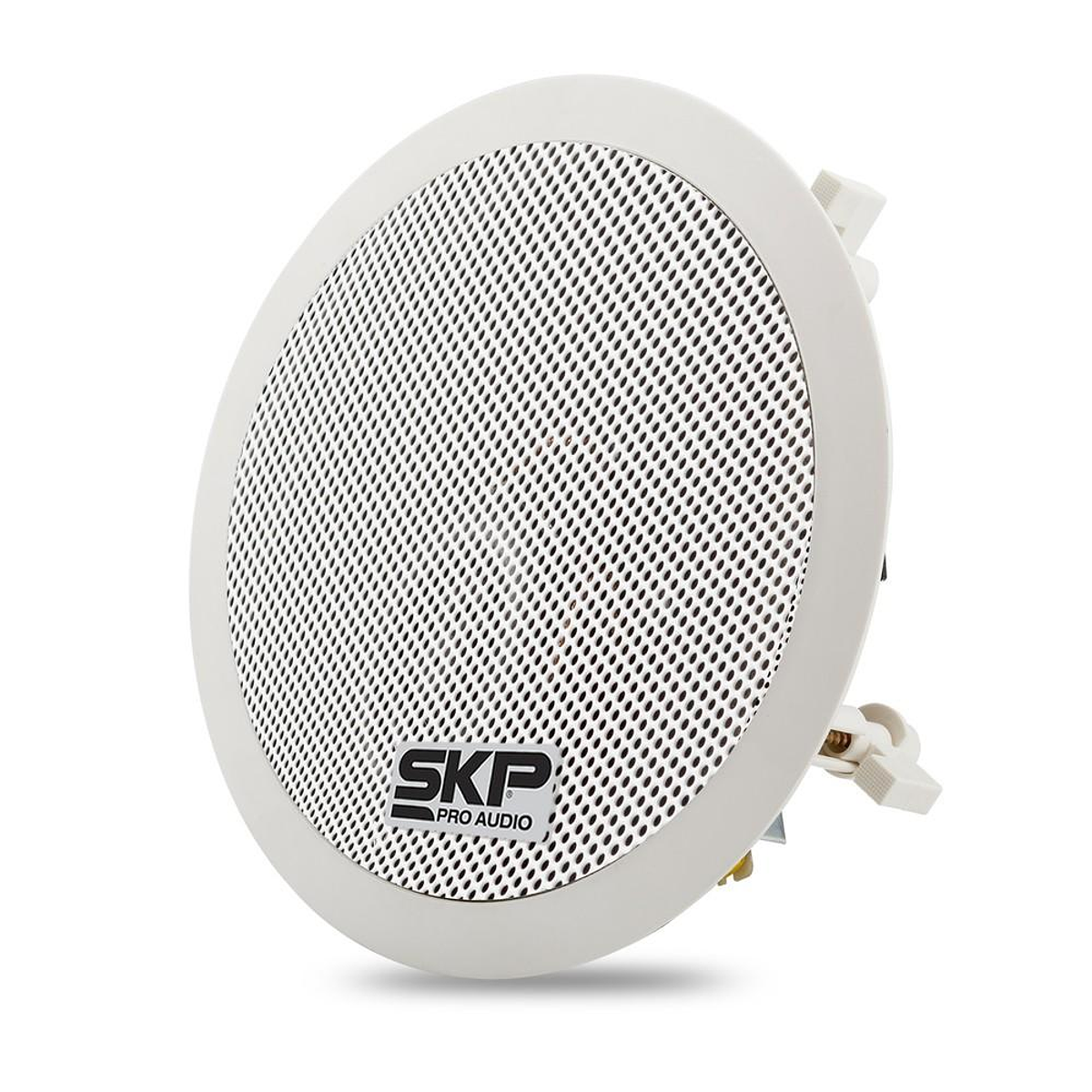 Instalaciones de Audio (SKP)