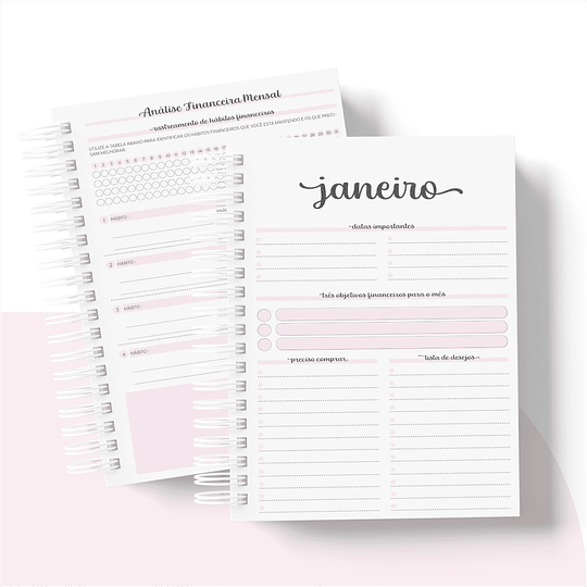 Arquivo Planner Financeiro 2024 em Pdf