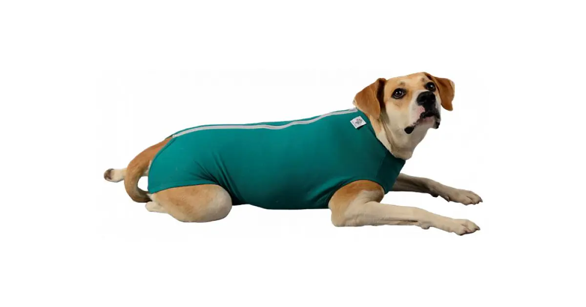 Malla Post-Operatoria unisex Perro Talla 8