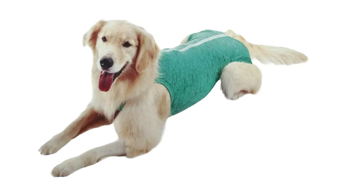 Malla Post-Operatoria unisex Perro Talla 8