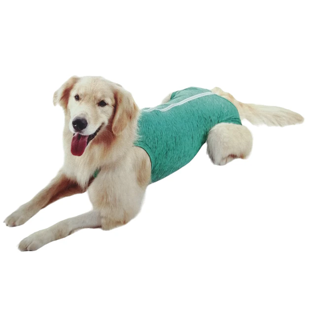 Malla Post-Operatoria unisex Perro Talla 8