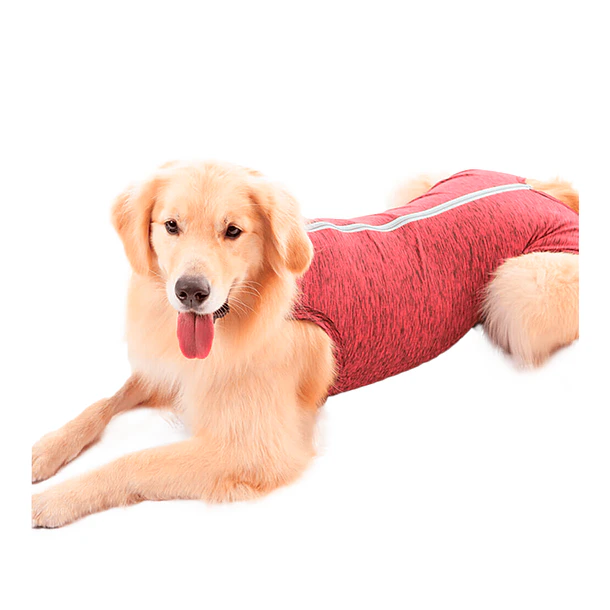 Malla Post-Operatoria Perro Talla 12