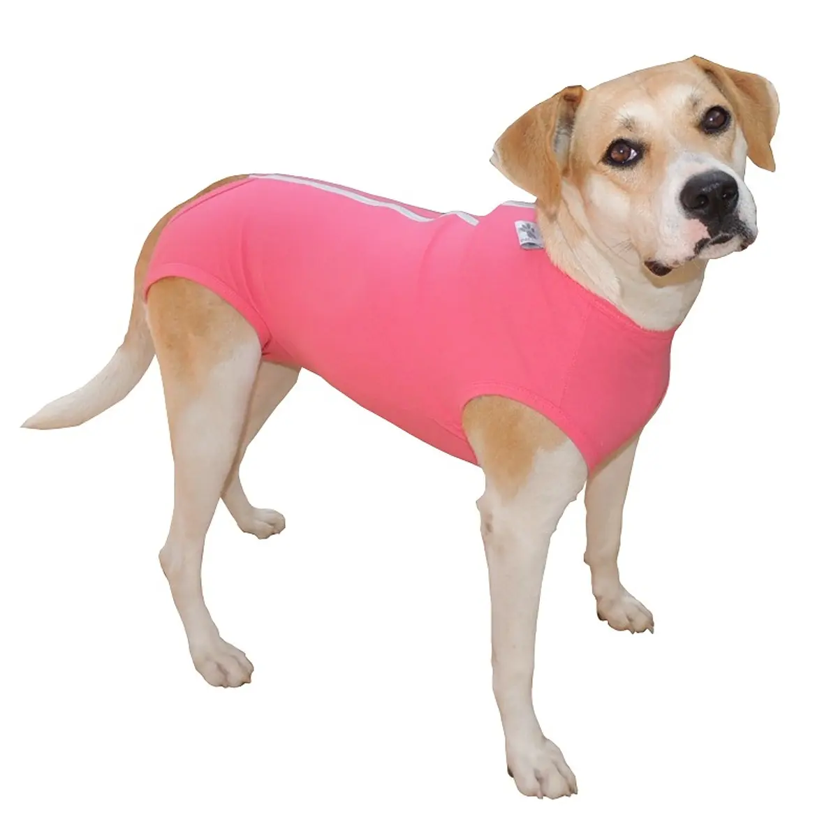 Malla Post-Operatoria Perro Talla 9