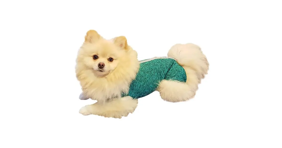 Malla Post-Operatoria Perro Talla 1