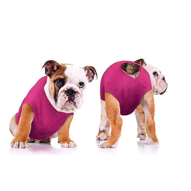 Malla Post-Operatoria Perro Talla 0