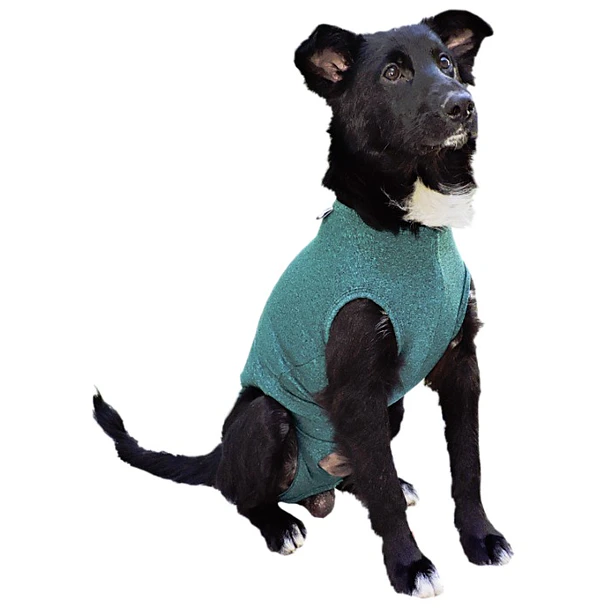 Malla Post-Operatoria Perro Talla 11