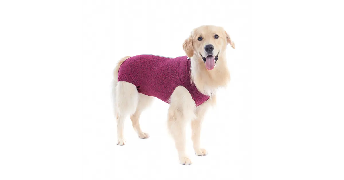 Malla Post-Operatoria Perro Talla 12
