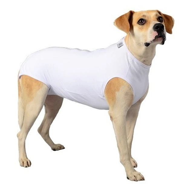 Malla Post-Operatoria Perro Talla 8