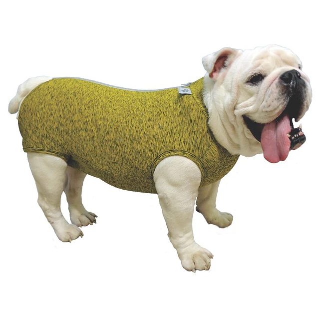 Malla Post-Operatoria Bulldog Inglés