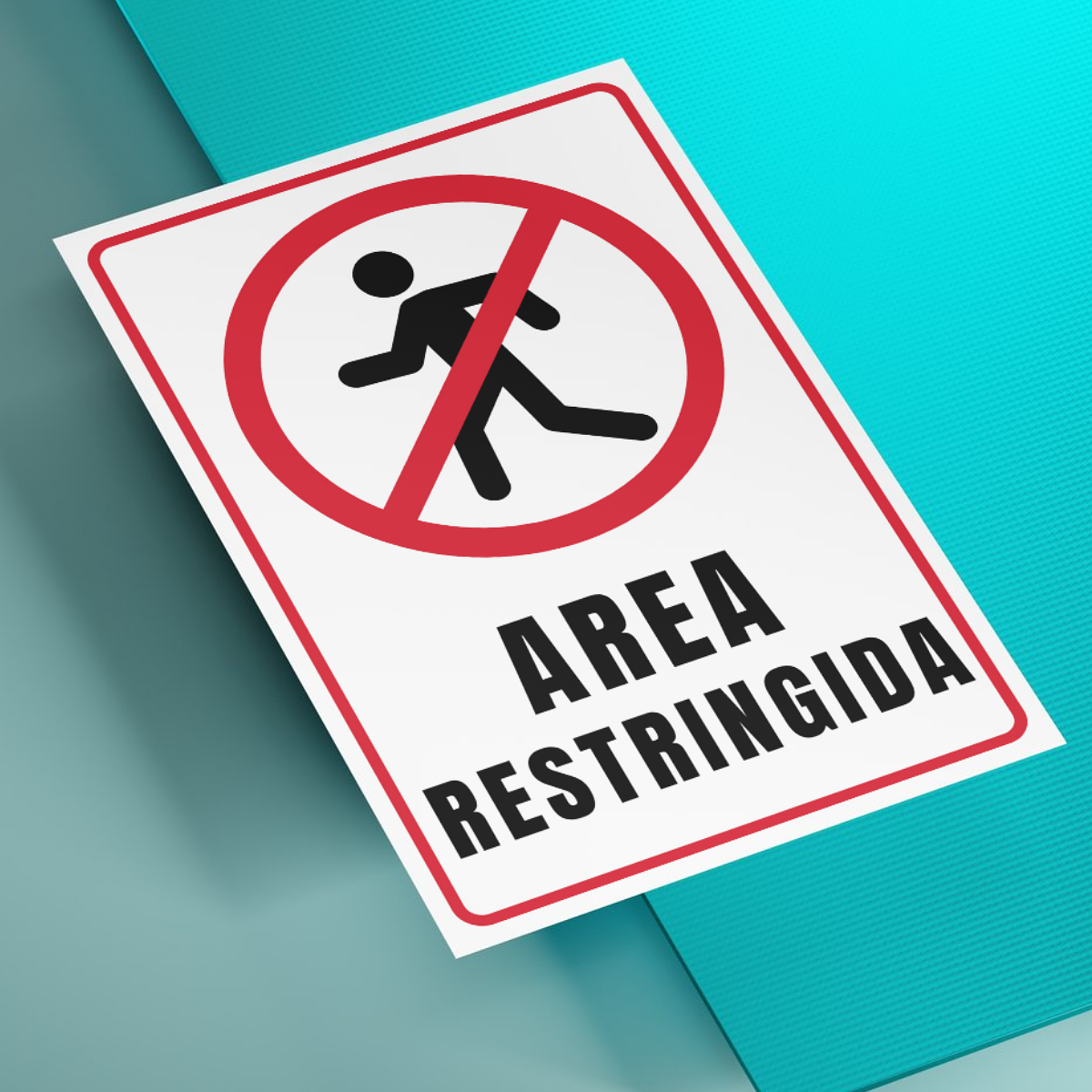 Señaletica Metalizada Area Restringida