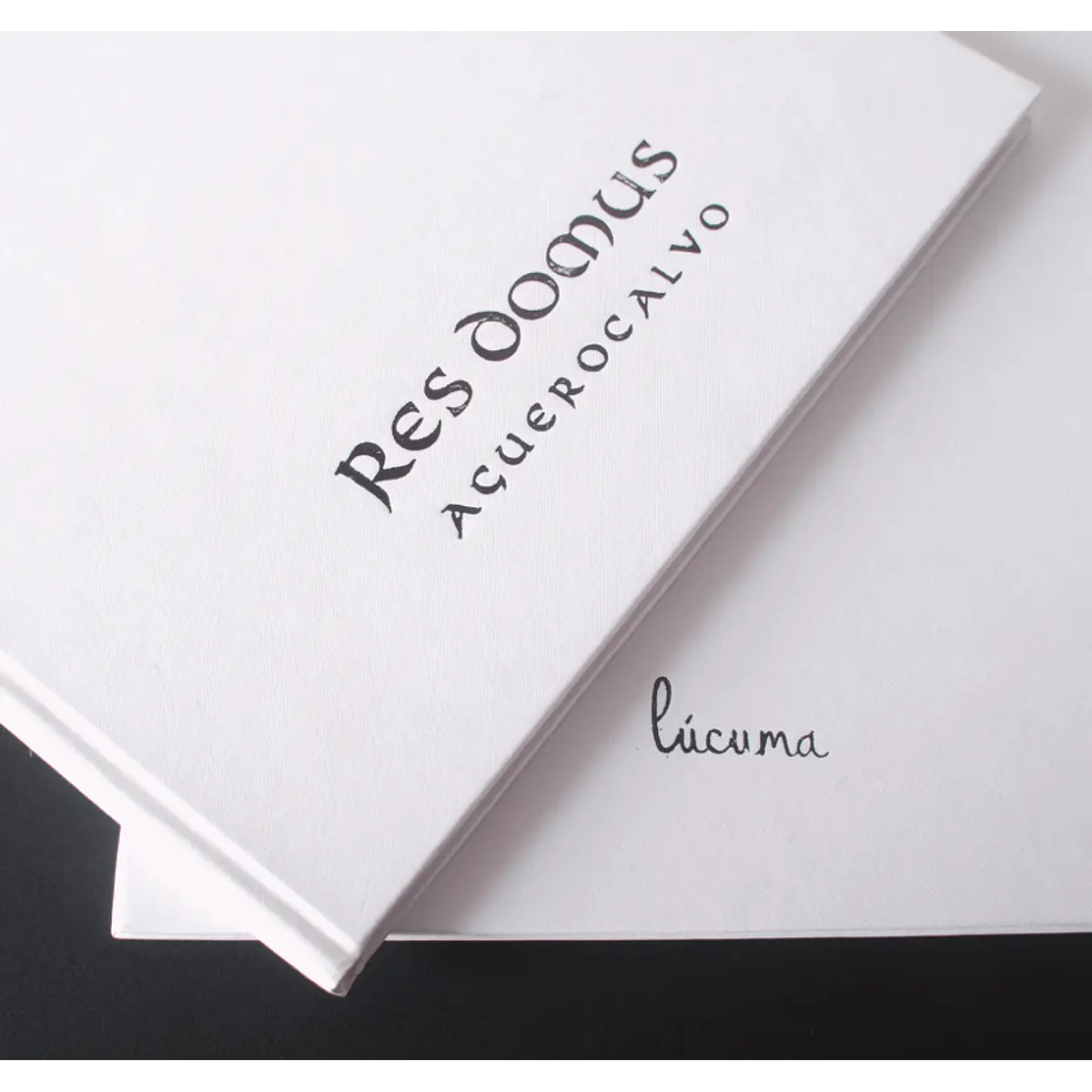 LIBRO: RES DOMUS. CECILIA AGUERO CALVO (tapa dura)