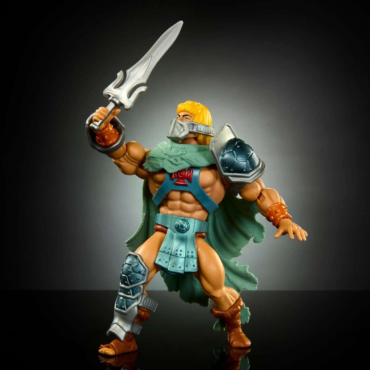Stealth Ninja He-Man Turtles of Grayskull Masters of the Uni