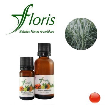 CITRONELA DE JAVA - Cymbopogon winterianus