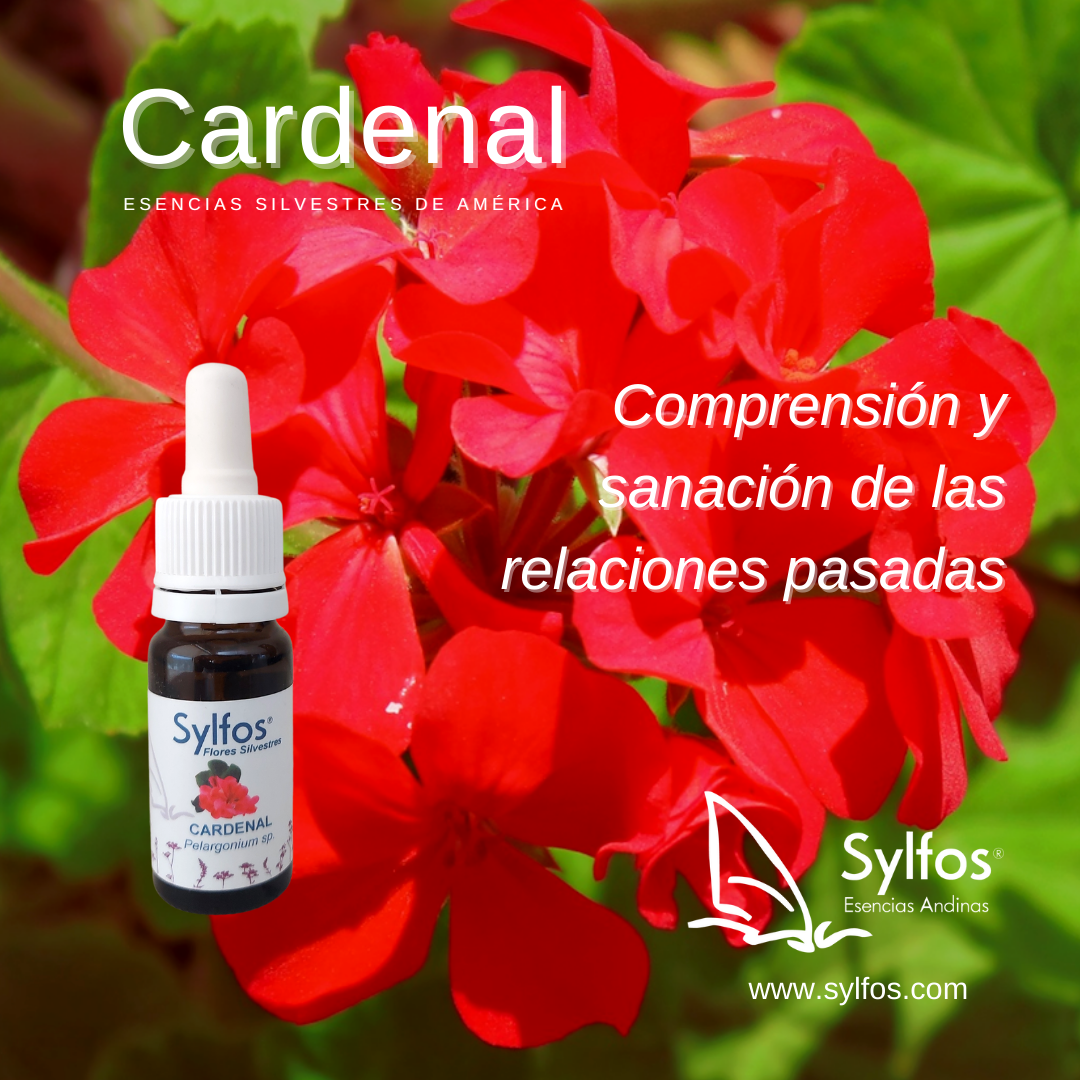 CARDENAL