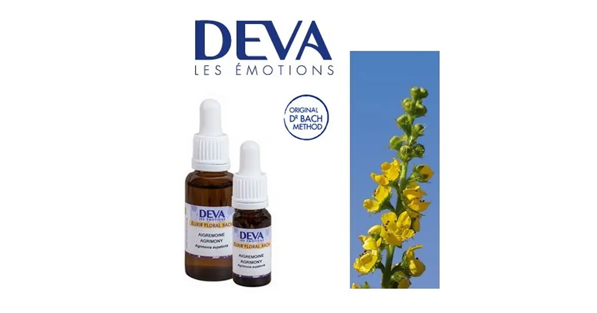 AGRIMONY / Agrimonia (1)