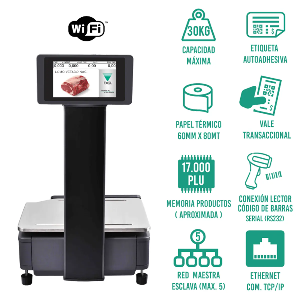 Balanza DIGI SM-120TP