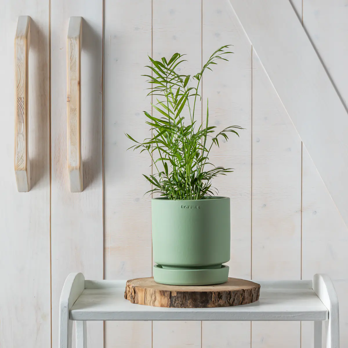Calm Breeze Collection