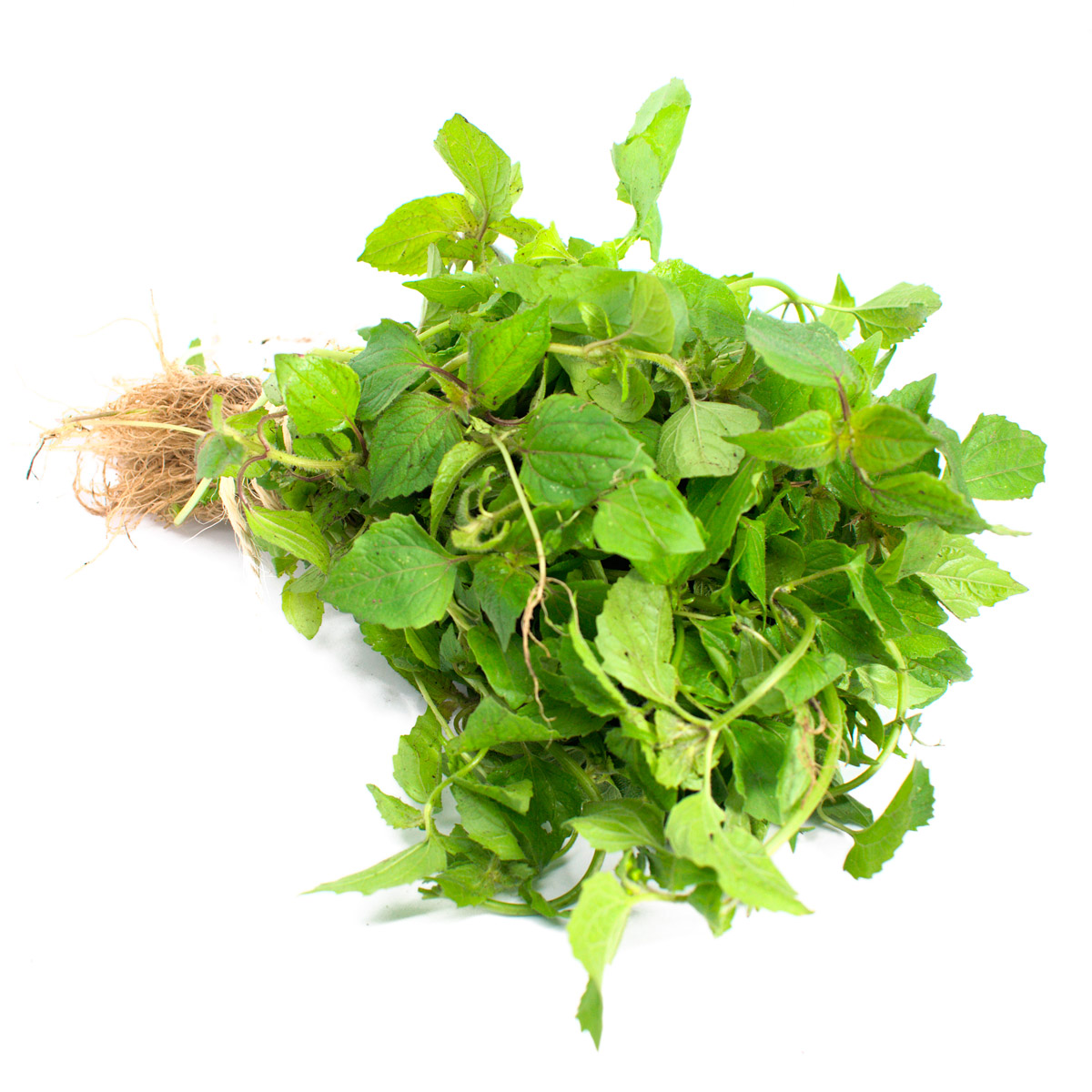 Guascas Orgánicas certificada Ecocert 130 g