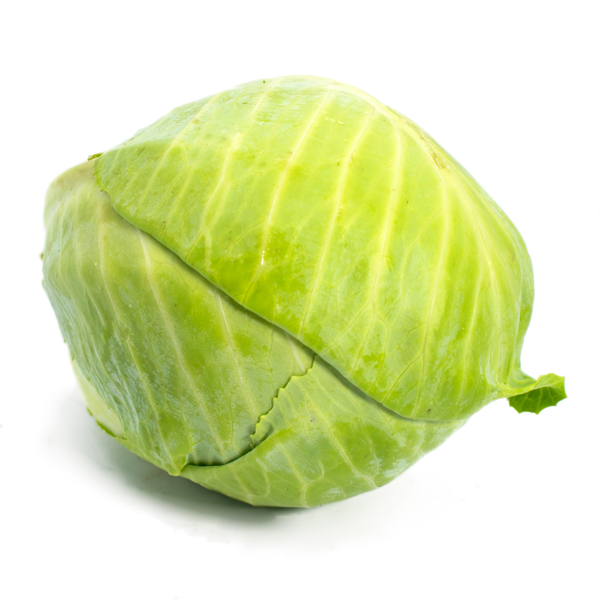Repollo verde orgánico certificado Ecocert