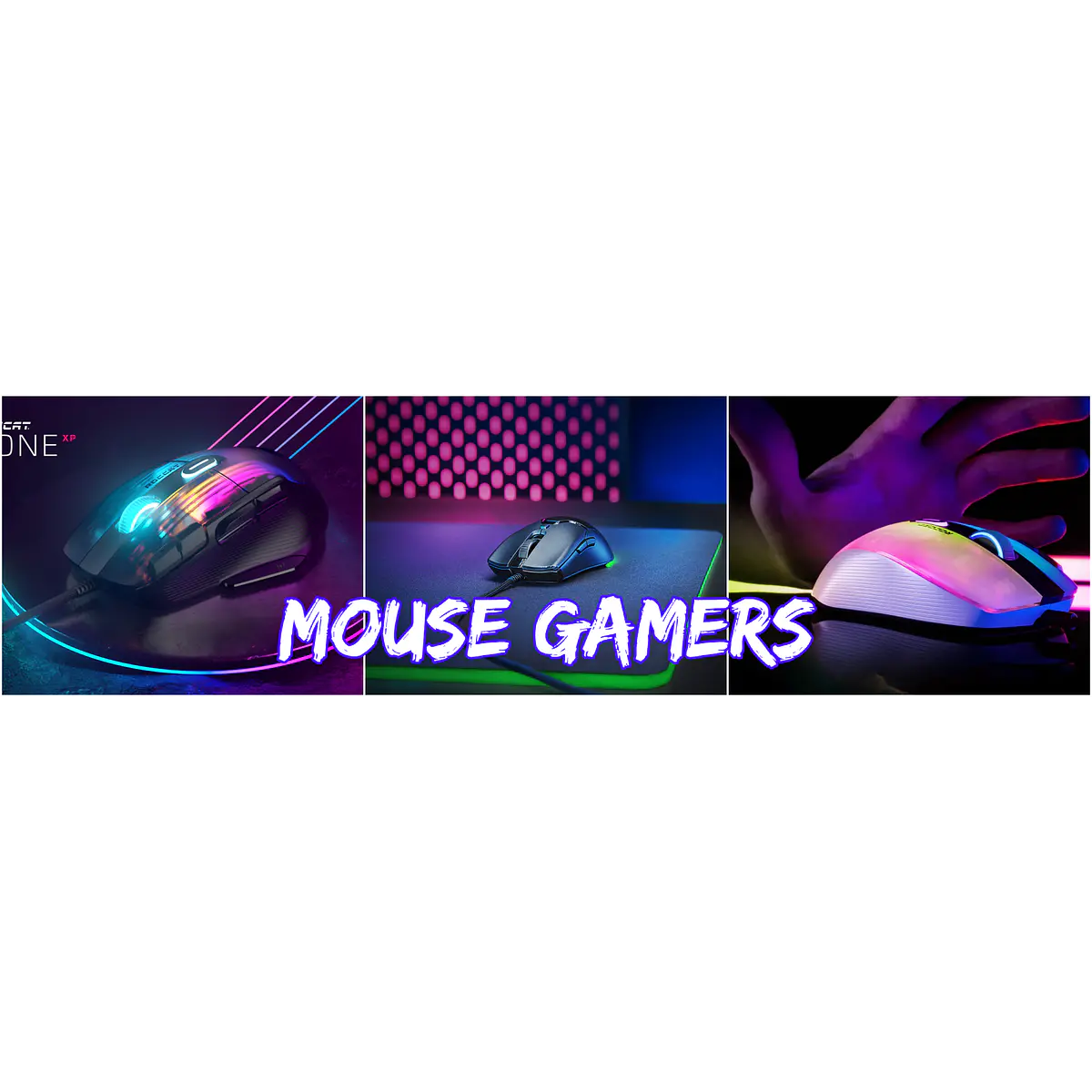 ️ MOUSES