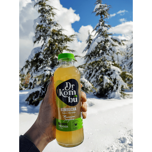 Kombuchacha Arándano 500 cc