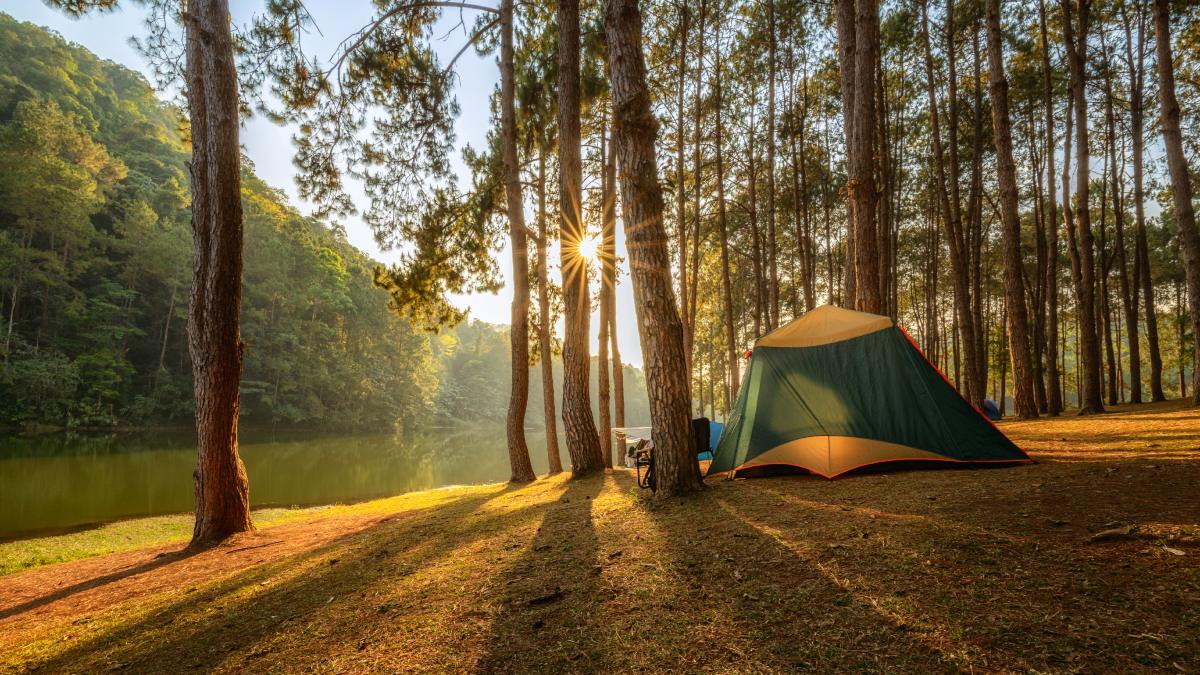 7 Consejos Claves para un Día de Camping Perfecto