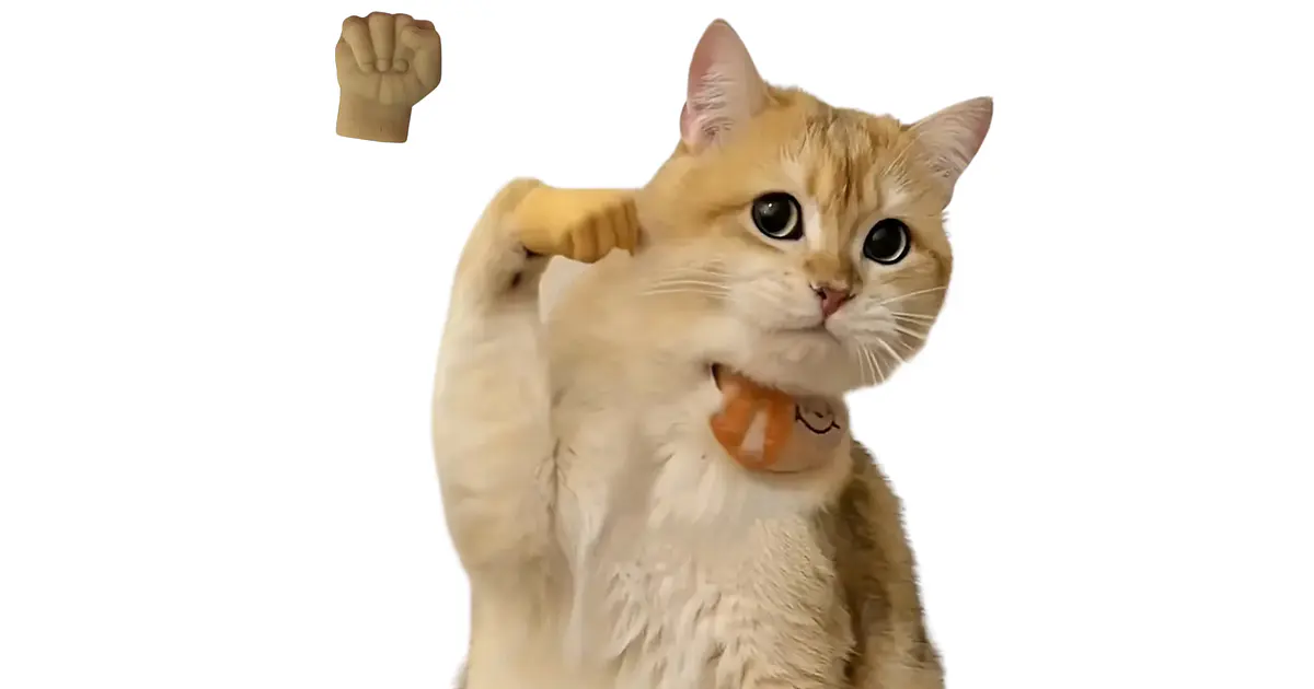 Mano Para Gatos Puño
