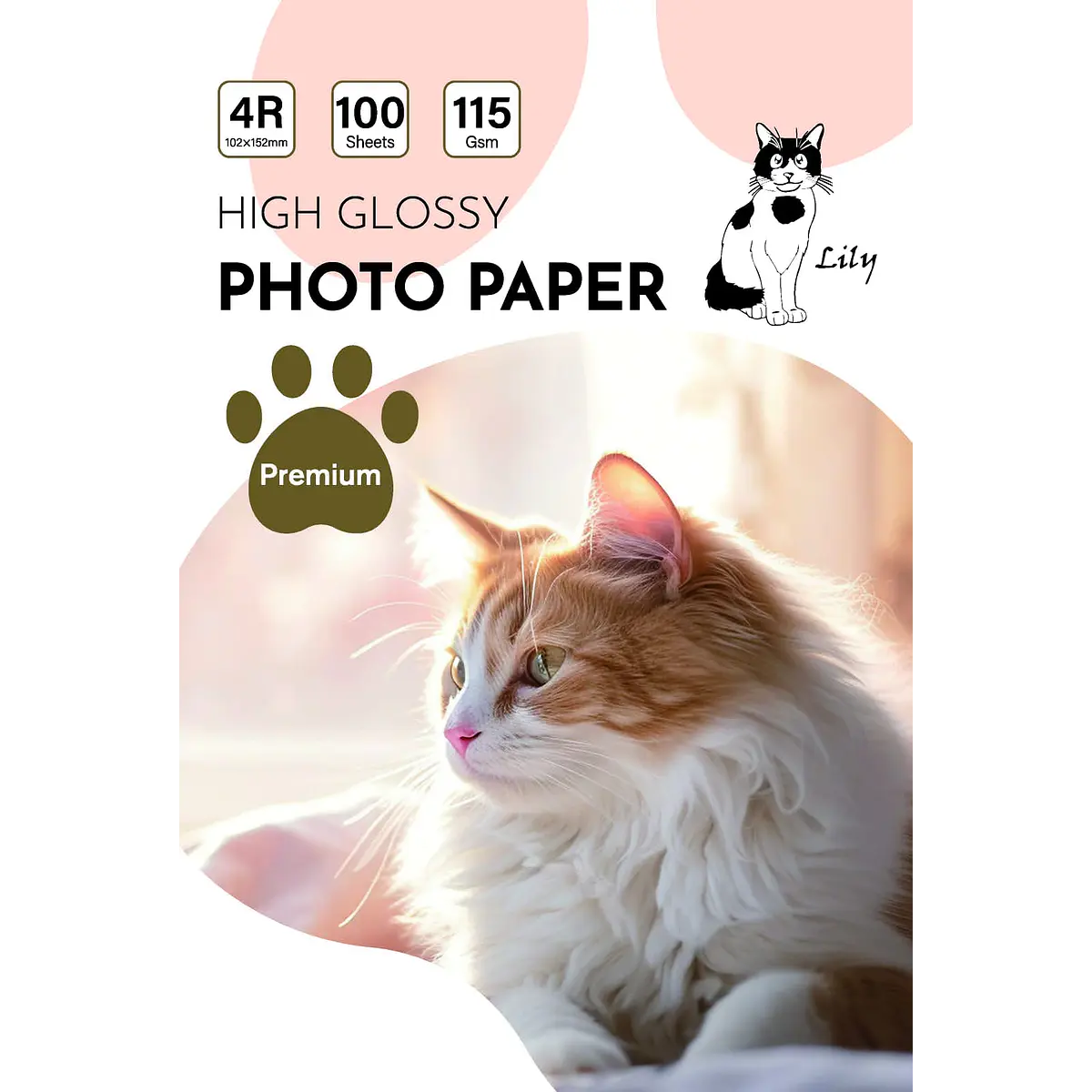 PAPEL PARA FLYER 4R 115GR 100 HOJAS