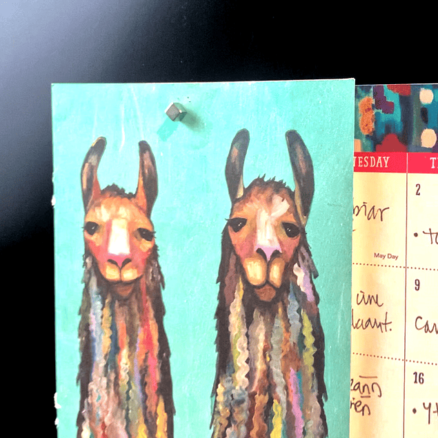 Set 4 clip metálico color Cobre con imán