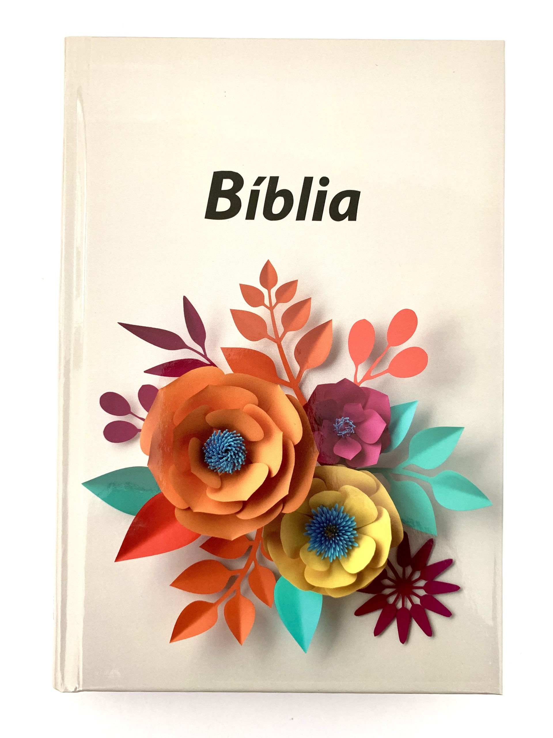 Bíblia Sagrada | DN53LM – FLORES