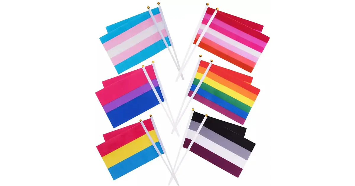 BANDERA DE MANO