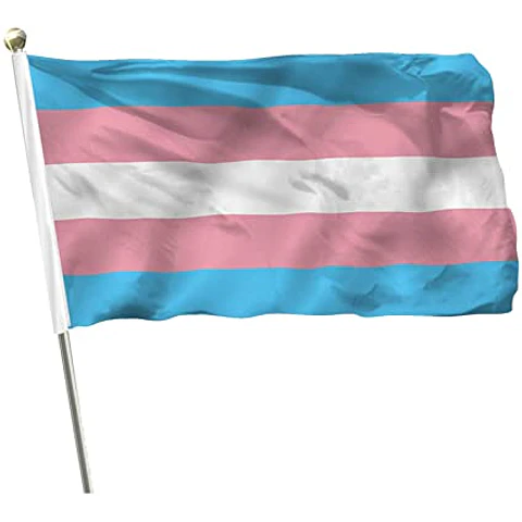 BANDERA DE MANO