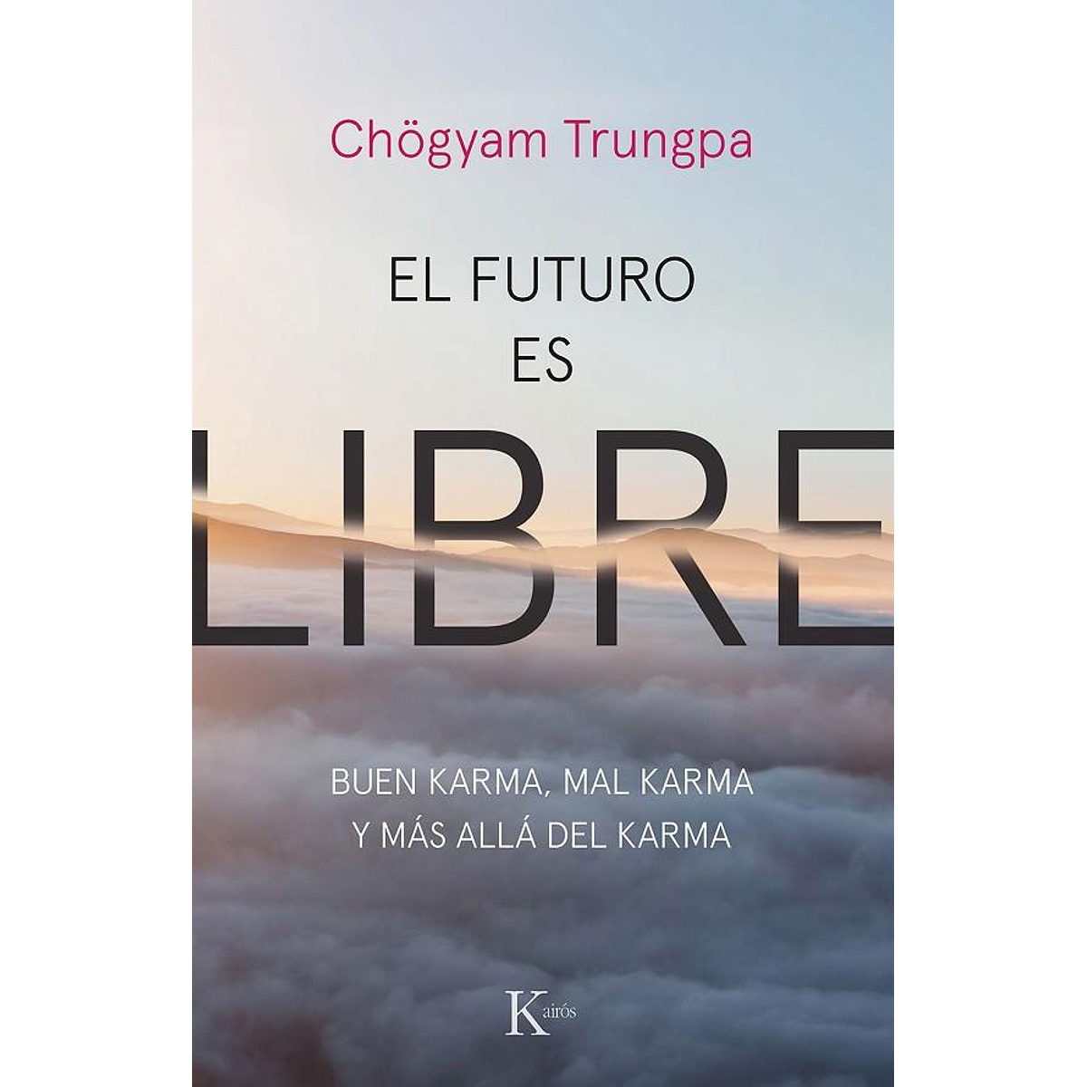 El Futuro Es Libre: Buen Karma, Mal Karma Y Mas Alla Del ...
