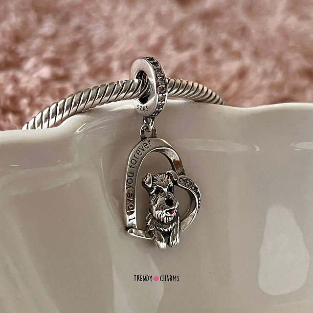 Dijes y Charm de Perro Schnauzer Para Regalar | Trendycharms
